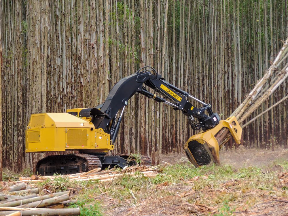 Branching Out: The Latest Innovations in Forestry Equipment
