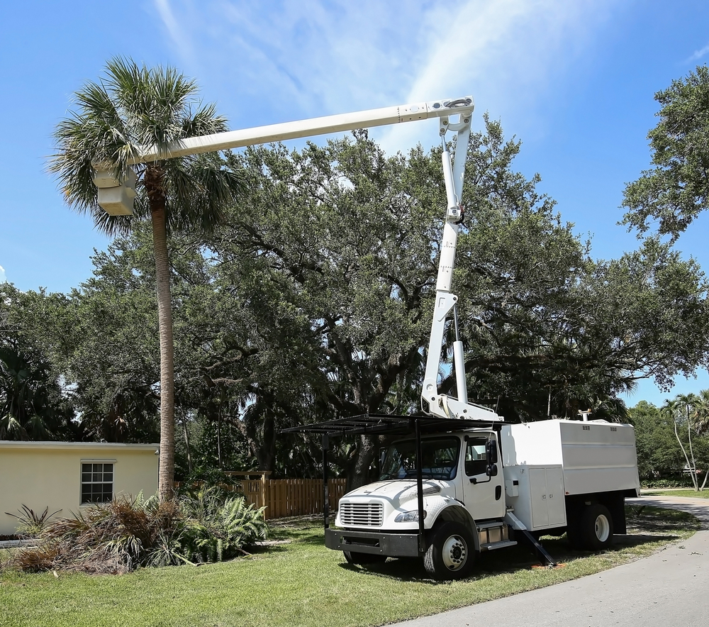 The Future of Bucket Trucks