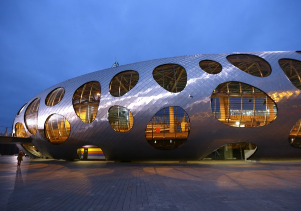 Champions of Diverse Arenas: Unveiling the Dominance of 10 Leading ...