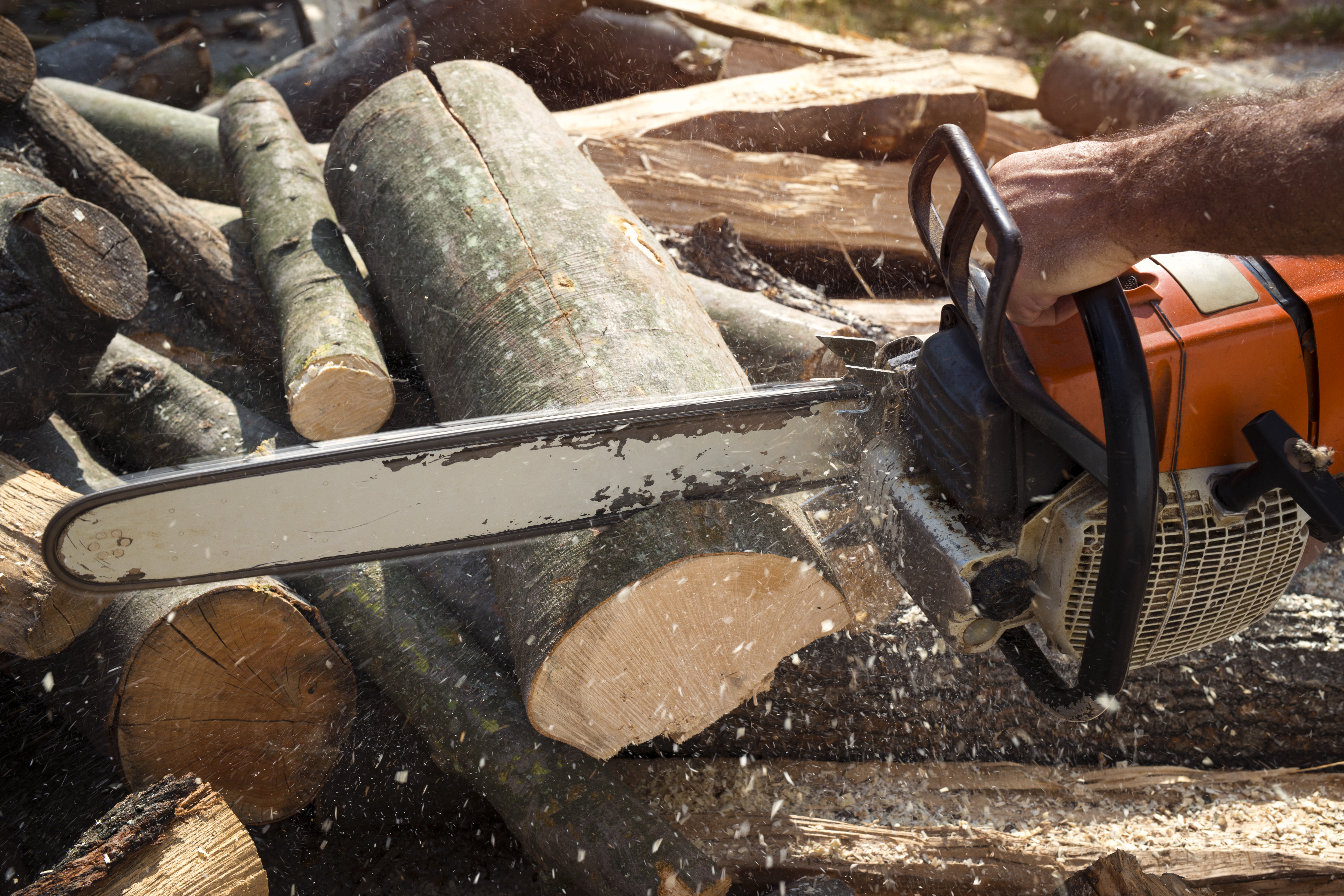 WC1103 Wood Chipper with Dynamic Belt Drive System