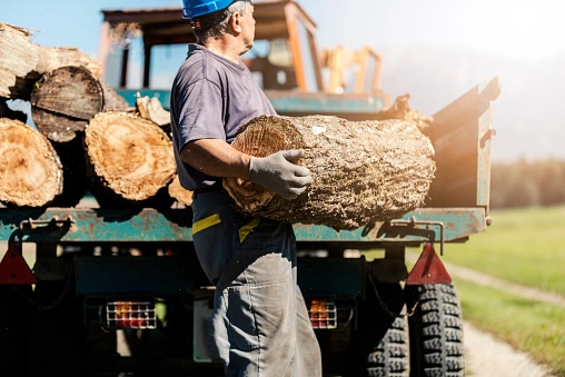 The Best Log Trailers for Different Types of Logging