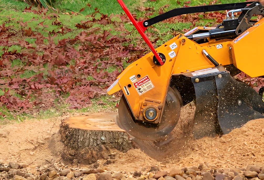 Find the Perfect Stump Grinder for Sale